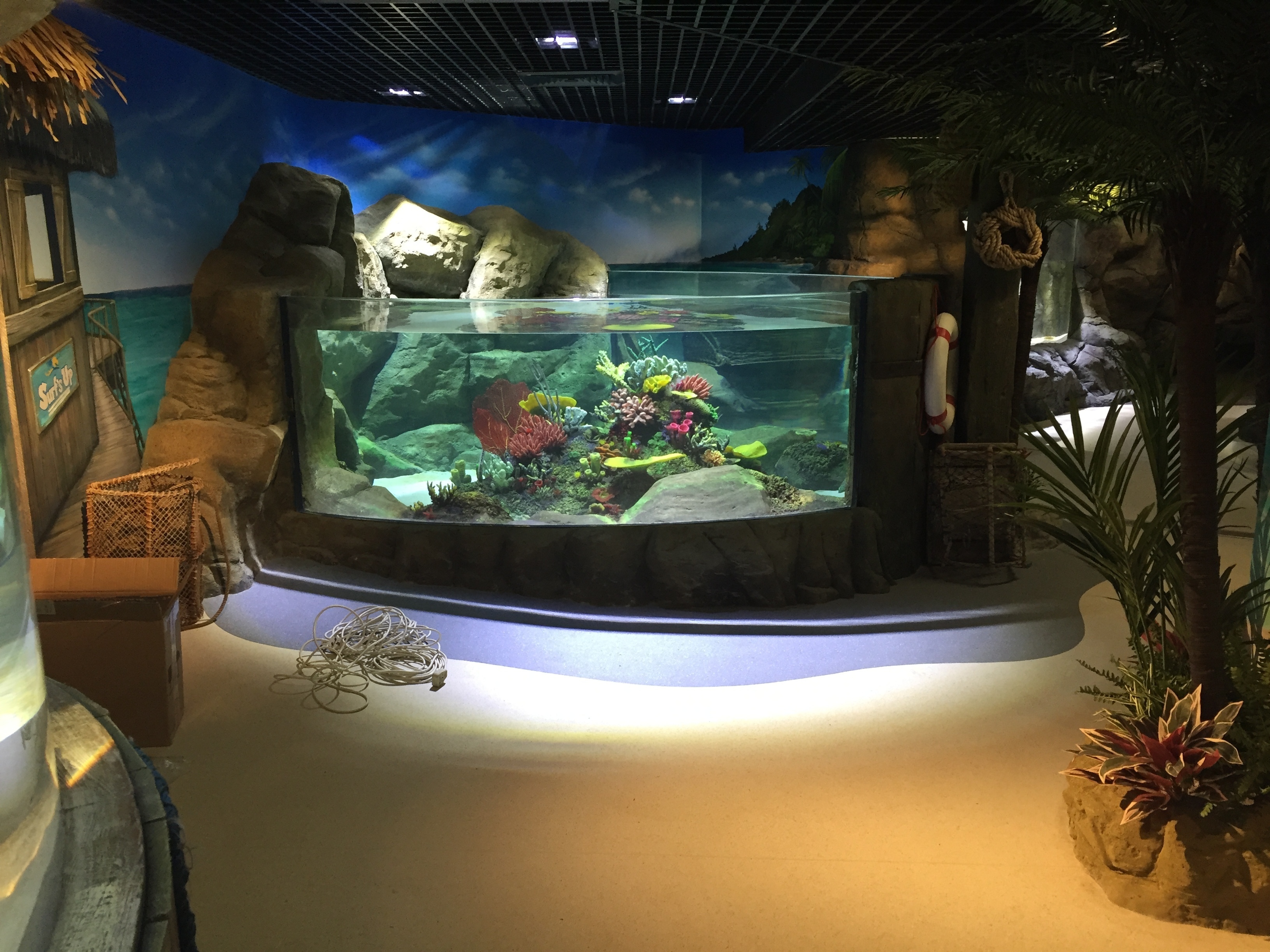 Exploris Aquarium | SCAPE